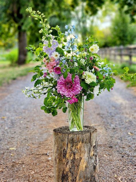U Pick Flowers With Linden Lane Flower Garden Morning Yoga Session