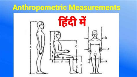 What Is The Purpose Of Anthropometric Measurement Youtube