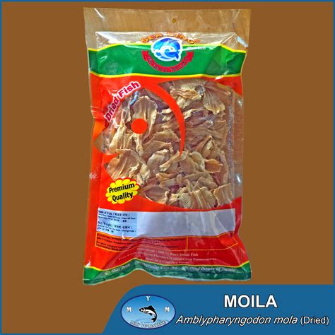 Dried Moila Asia Winner