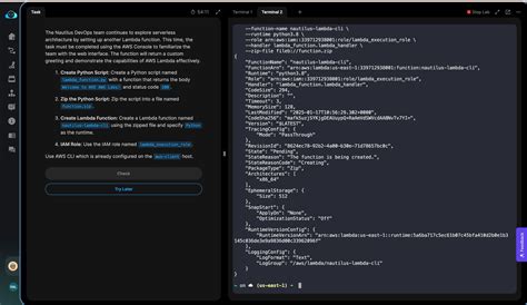 Permission Issue On Creating A Lambda Function Using Cli Aws Level 2