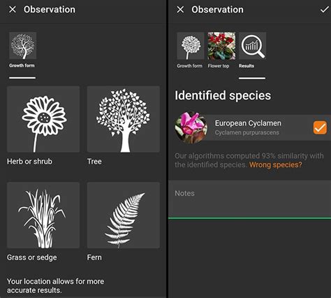 Best Free Plant Identification Apps For Android Ios