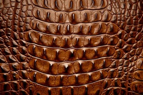 Images De Cuir Python Téléchargement Gratuit Sur Freepik Images De Cuir Python Téléchargement Gratuit Sur Freepik