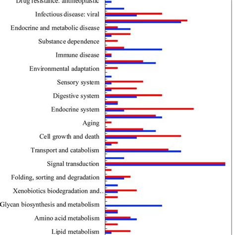 Statistics Of Kegg Biological Pathway Enrichment Analysis Download Scientific Diagram