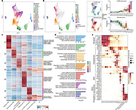 单细胞转录组分析全流程详解