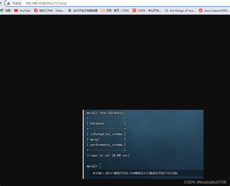 配置nginx做附件浏览服务器遇到的403问题nginx上传附件403 Csdn博客