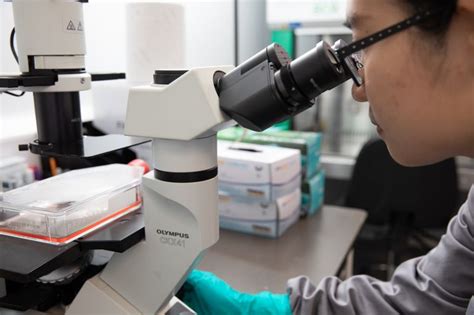 Pei Shee T Posted On Linkedin