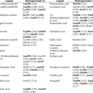 Receptor And Ligand Interactions Based On Hydrogen Bond Analysis