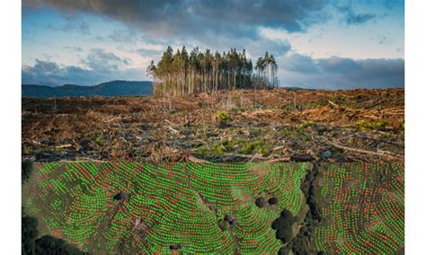 Harnessing Geospatial Ai For Forest Conservation Gim International