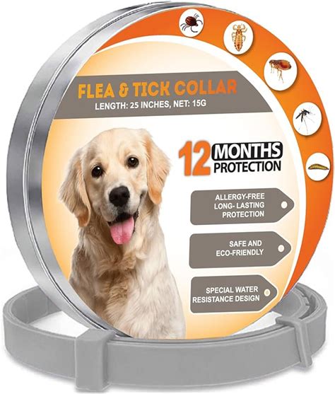 Collier Anti Puces Pour Chien Collier Anti Puces Pour Chien Collier