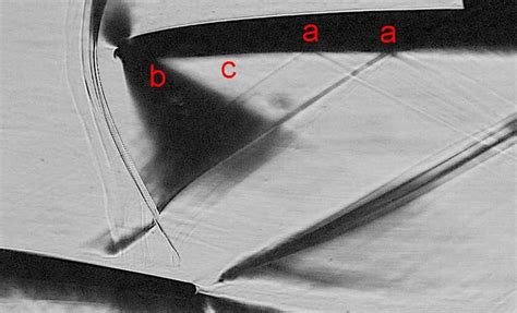 unsteady interaction on pressure side tip section of long rotor blade