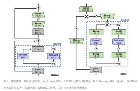 预训练无需注意力扩展到 个token不成问题与BERT相当 智源社区