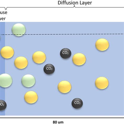 Schematic Of Mass Transport Regions For A Co 2 Er Process Stern Layer