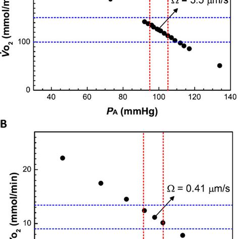 Spatial Temporal Distribution Of The Local Alveolar O2 Partial Pressure
