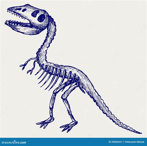 Tyrannosaurus Rex Skeleton Fossil Isolated Dinosaur Vector
