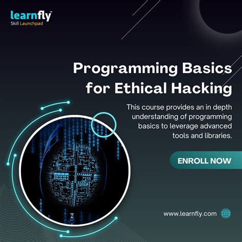 Learnfly Ethicalhacking Programmingbasics Cybersecurity Codingskills Learnfly™