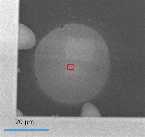 Sem Image Of Bubbles Formed By The Local Electron Irradiation At 20