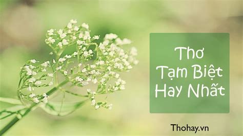 Bộ Sưu Tập Hình Ảnh Chào Tạm Biệt Siêu Đỉnh Với Hơn 999 Item 4k