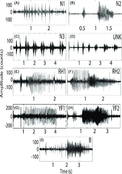 Bandpass Filtered Time Series Of A D Three Known Nassau Grouper Download Scientific
