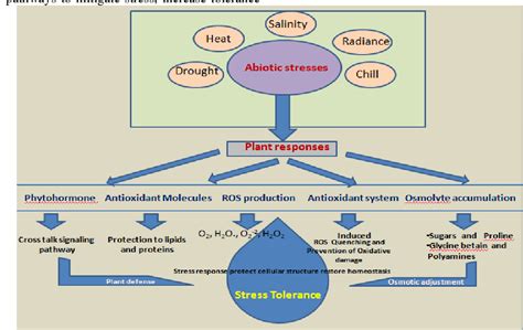 Figure From PLANT RESPONSES AND RESILIENCE TOWARDS DROUGHT AND SALINITY STRESS Semantic Scholar