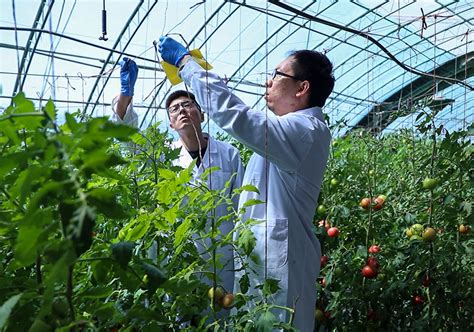培养方案 宁夏大学葡萄酒与园艺学院