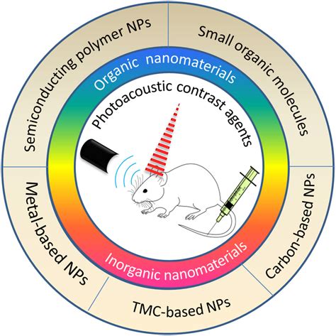 Wires Nanomedicine And Nanobiotechnology Vol 12 No 4