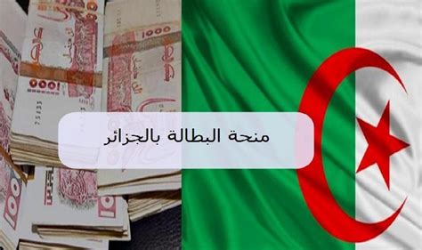 شروط منحة البطالة 2024 أنوثتك