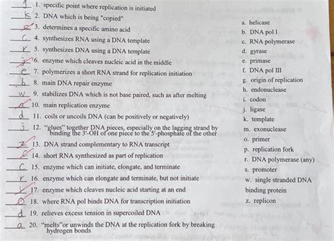 Solved 9 1 Specific Point Where Replication Is Initiated 2 Chegg