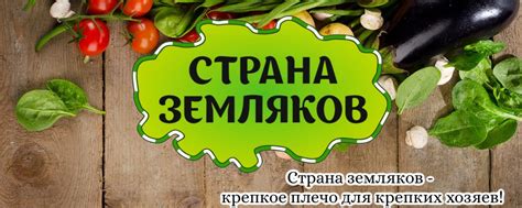 город Волшебная грядка СТРАНА ЗЕМЛЯКОВ Шадринск | СТРАНА ЗЕМЛЯКОВ. 2025 ...