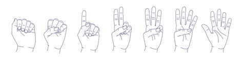 다양한 위치 스케치에서 손 제스처 세트 손가락으로 세는 것 하나 둘 셋 넷 다섯 주먹과 손바닥 검지 가운데 반지 새끼손가락 엄지 1에 대한 스톡 벡터 아트 및 기타 이미지