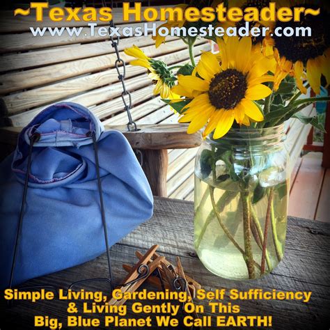 Do You Want A Glimpse Into Our Texas Homestead ~ Texas Homesteader