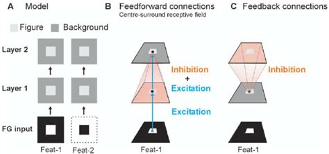 Model Receptive Field Organization And Figure Ground Segregation A Download Scientific