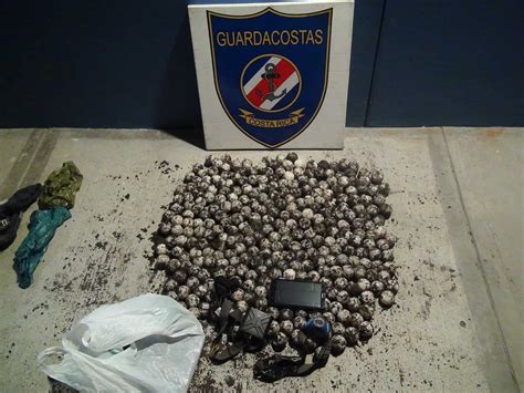 Costa Rica Police Catch Poachers With 315 Sea Turtle Eggs