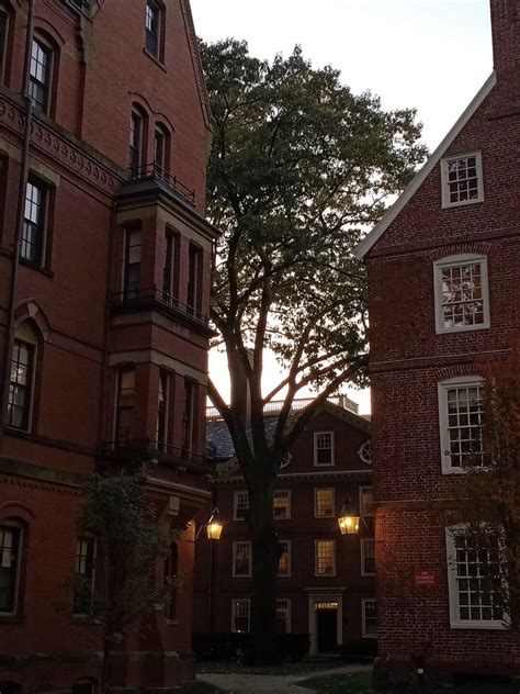 2020哈佛大学 旅游攻略 门票 地址 问答 游记点评，剑桥旅游旅游景点推荐 去哪儿攻略