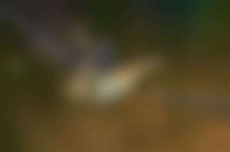 пеночки Сергей Колодин ВКонтакте