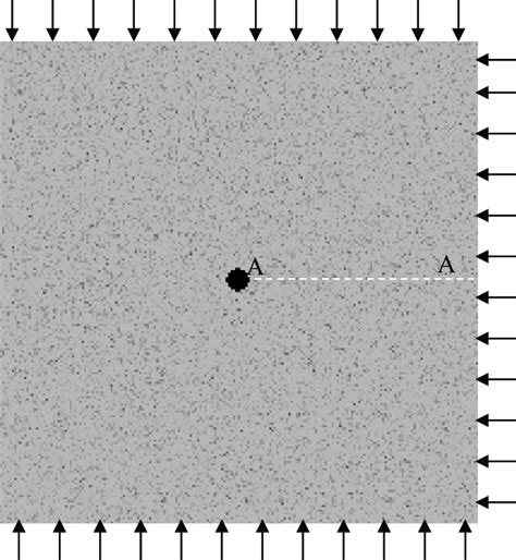 Numerical Model With A Borehole In A Non Hydrostatic Stress Fields