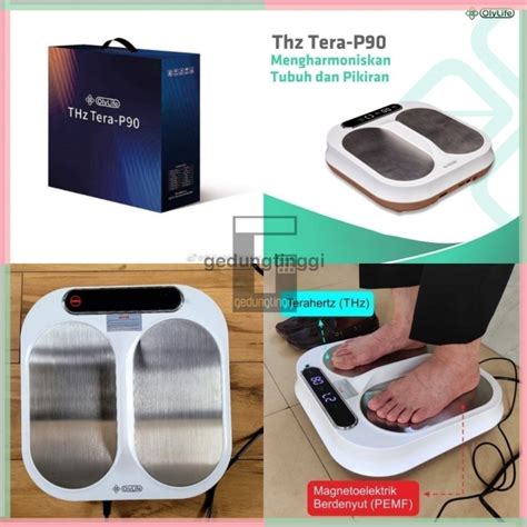 Jual Alat Terapi Therapy Kesehatan Thz Tera P90 Olylife Gelombang Terahertz Obat Stroke Struk ...