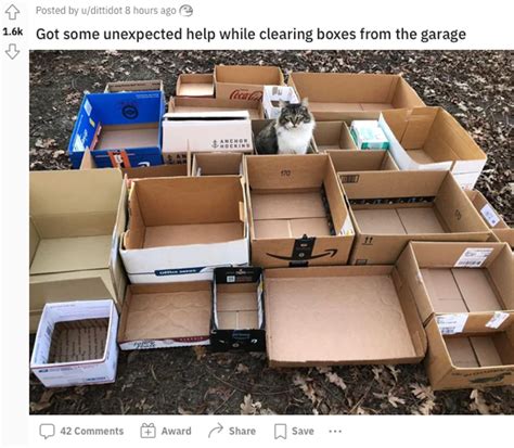 An Intro To Reddit A Popular But Frequently Misunderstood Social Media Platform