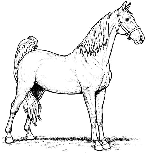 Figuras De Cavalo Para Imprimir FDPLEARN