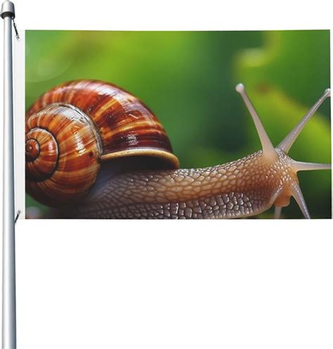 Wildlife Animal Snail Flag 4x6 Ft Flags For Outside Funny Banner Garden