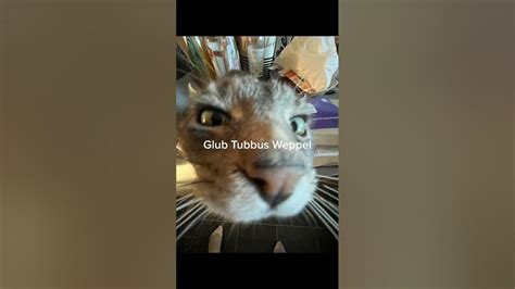 Top 10 Goobie Woobies Youtube