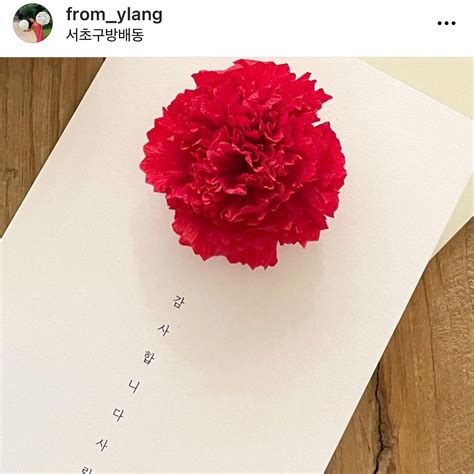 Noushop 누샵 ️from Ylang 프롬일랑 카네이션 카드 피드를 본 순간 바로 질러 버렸습니다