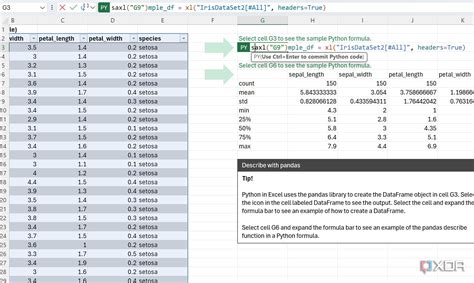 Vba Vs Python Which Is The Best Tool For Excel Automation
