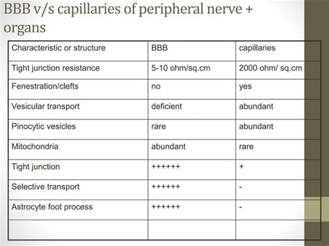 Blood Brain Barrier Pptx