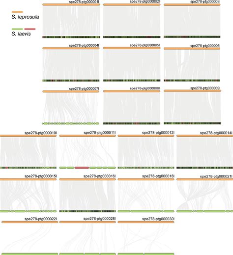 Figures And Data In Somatic Mutation Rates Scale With Time Not Growth Rate In Long Lived