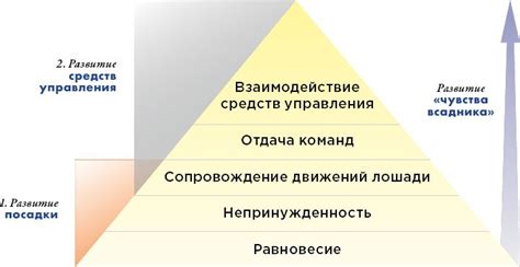 Посадка всадника средства управления и воздействие на лошадь — Практическое руководство по