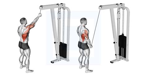 inverted row guide benefits and form