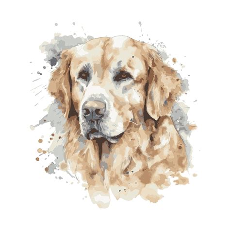 Premium Vector Golden