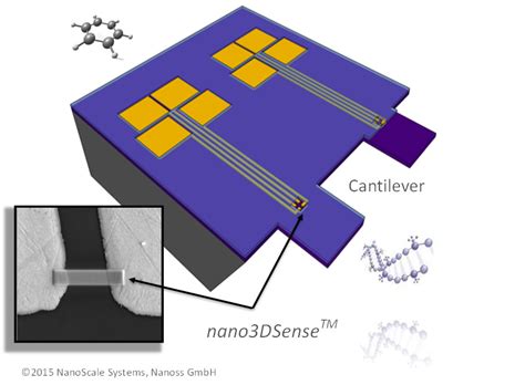 How The New Nano3dsense Sensor Works Nanoscale Systems Nanoss Gmbh