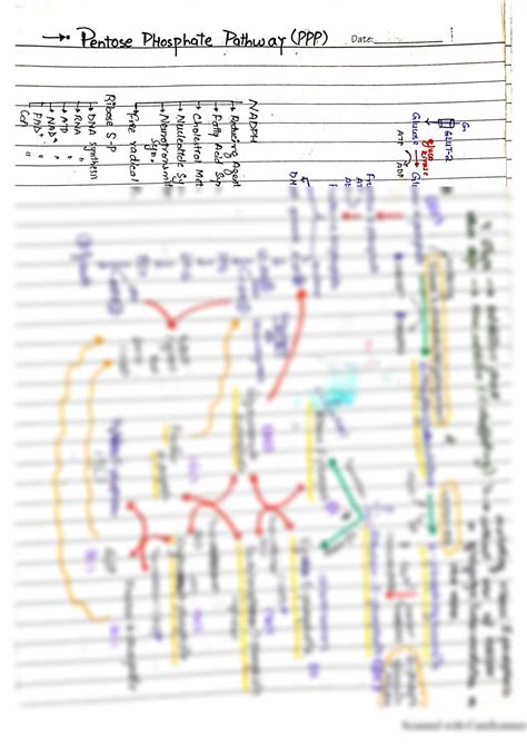 Solution Pentose Phosphate Pathway Biochemistry Made Easy Studypool