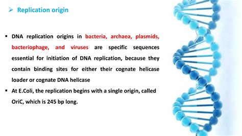 Dna Replication Pptx Chemistry Science